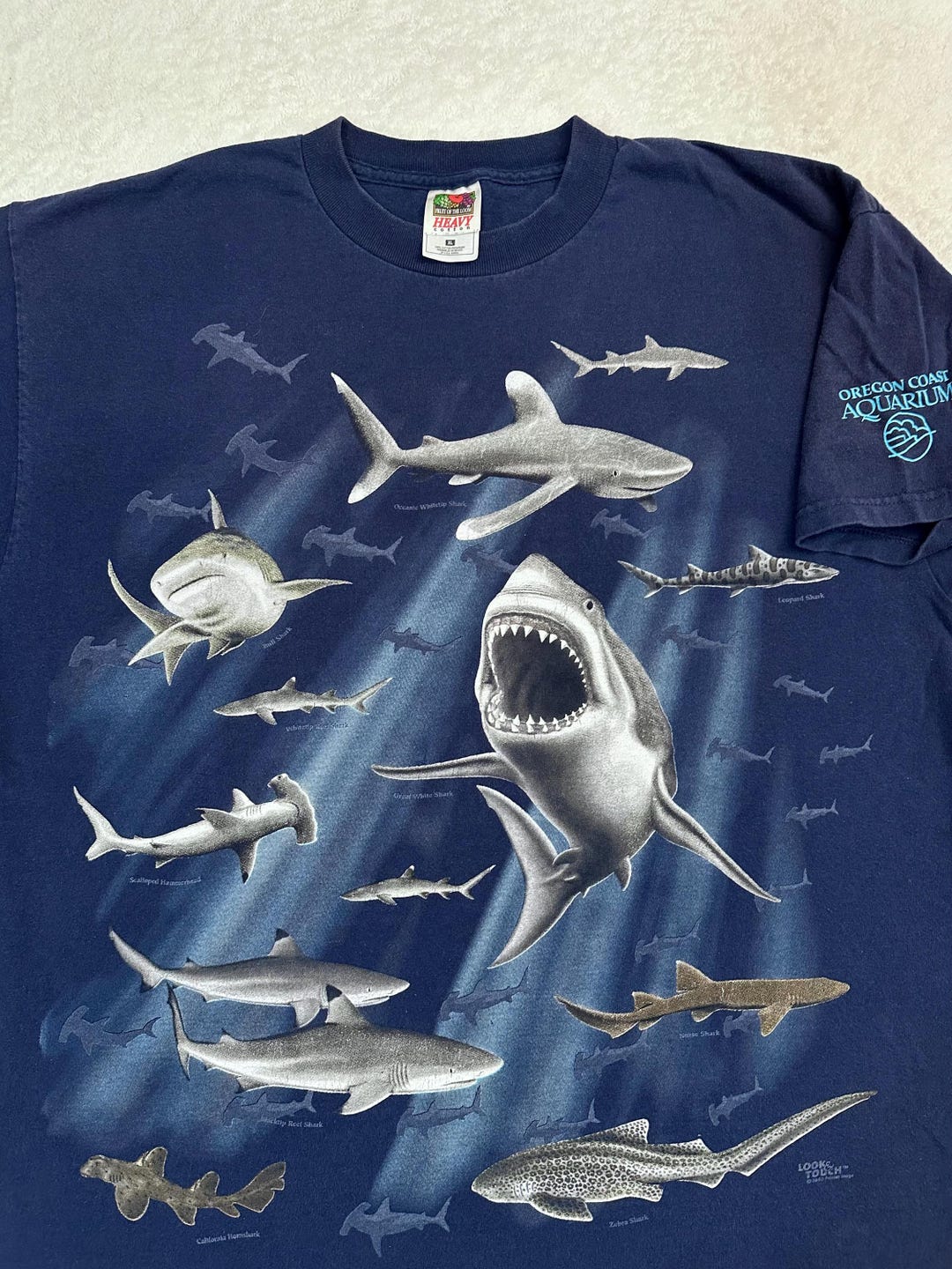 Vintage 2000s Y2K Oregon Coast Ocean Great White Shark Art Graphic T ...