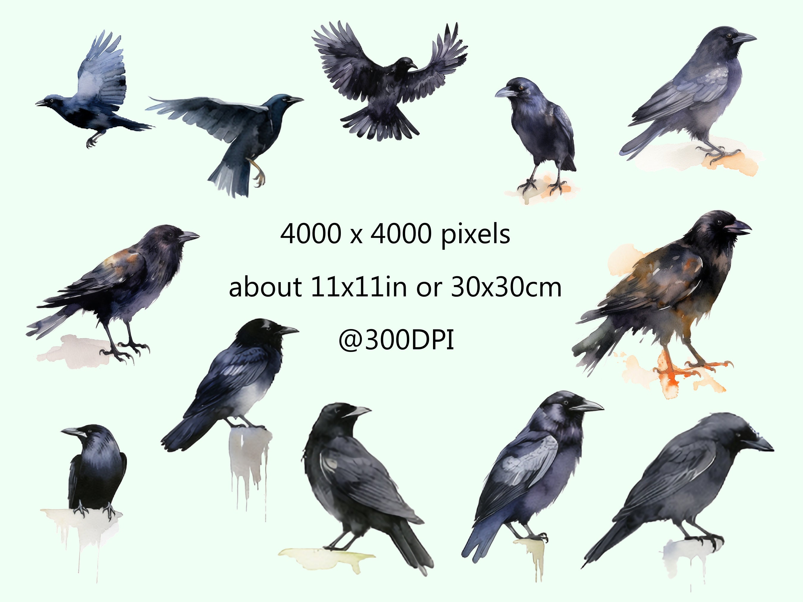 Watercolor Crows PNG, 4k, High-quality Clipart, Includes 8 Crow ...