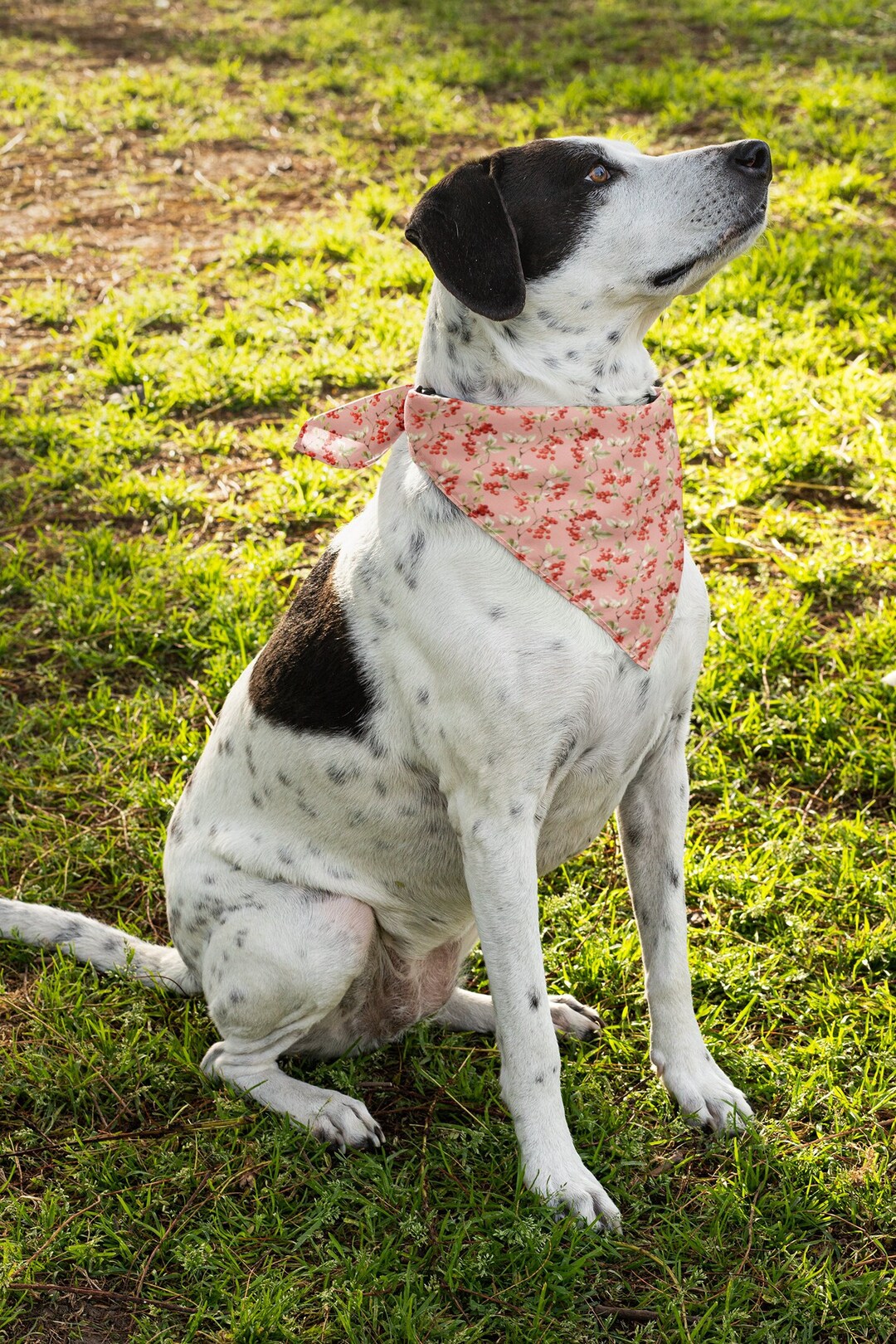 May Birth Month Flower Bandana Hawthorne Flower May Birth Flower Floral ...