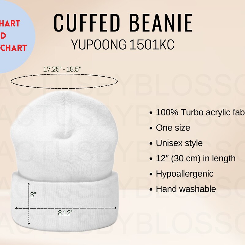 Beanie Mock up Bundle - Etsy