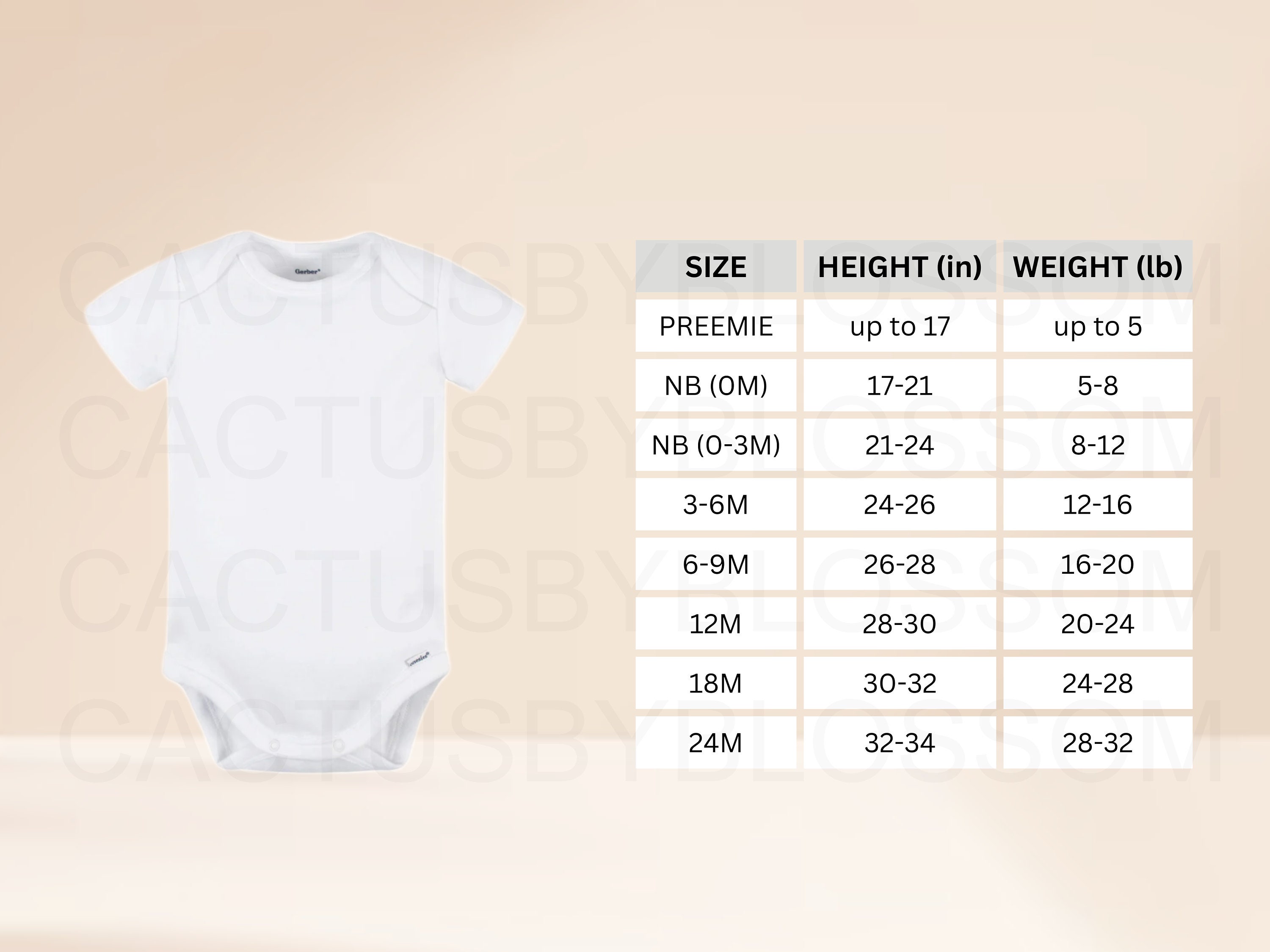 2 Size Chart Gerber Children Wear 6516A Mockup Etsy Tool Baby Short ...