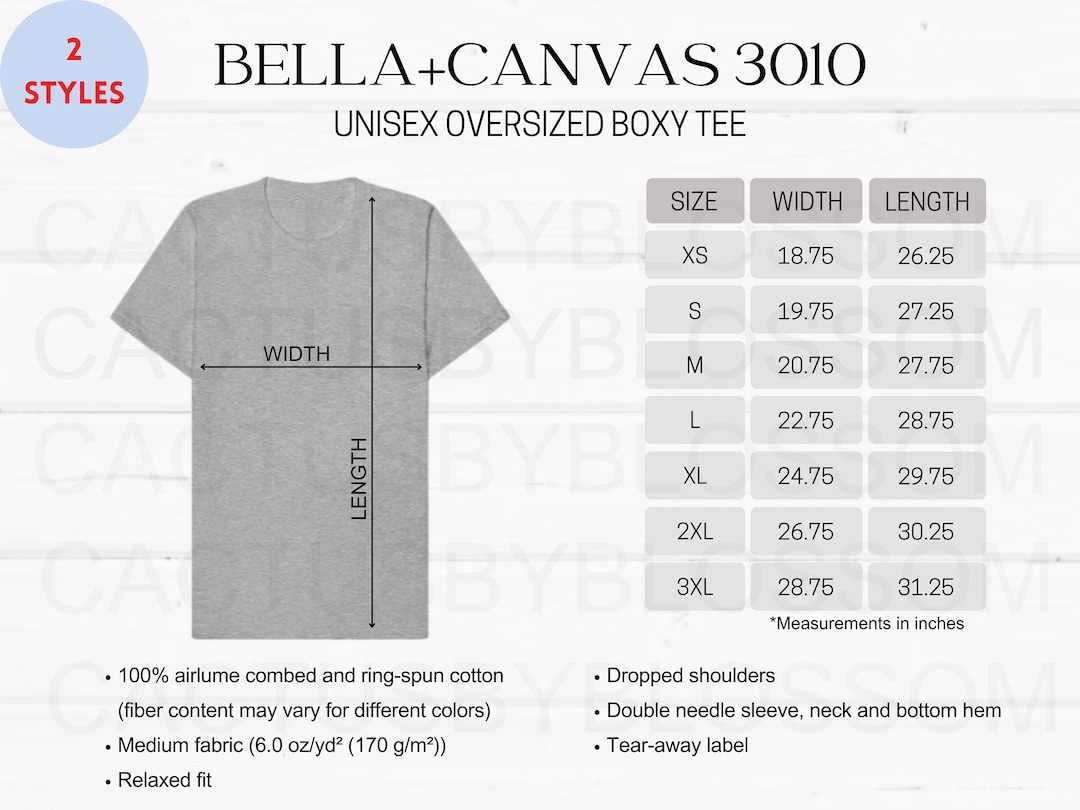 2 Size Chart Bella + Canvas 3010 Mockup Unisex Oversized Boxy Tee Etsy ...