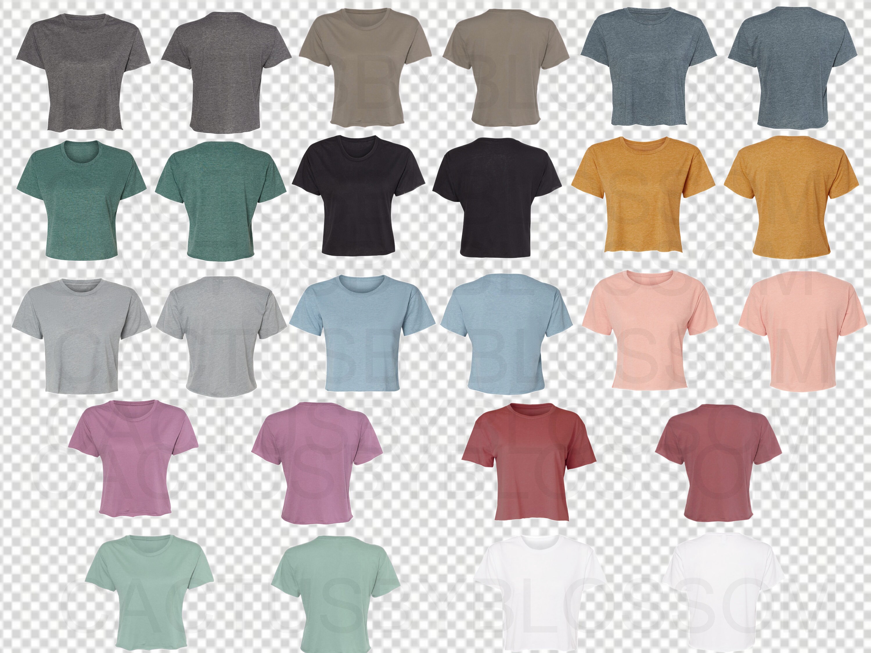 Color Chart DIY Chart Next Level 5080 Mockup Etsy Tool Women's Festival ...