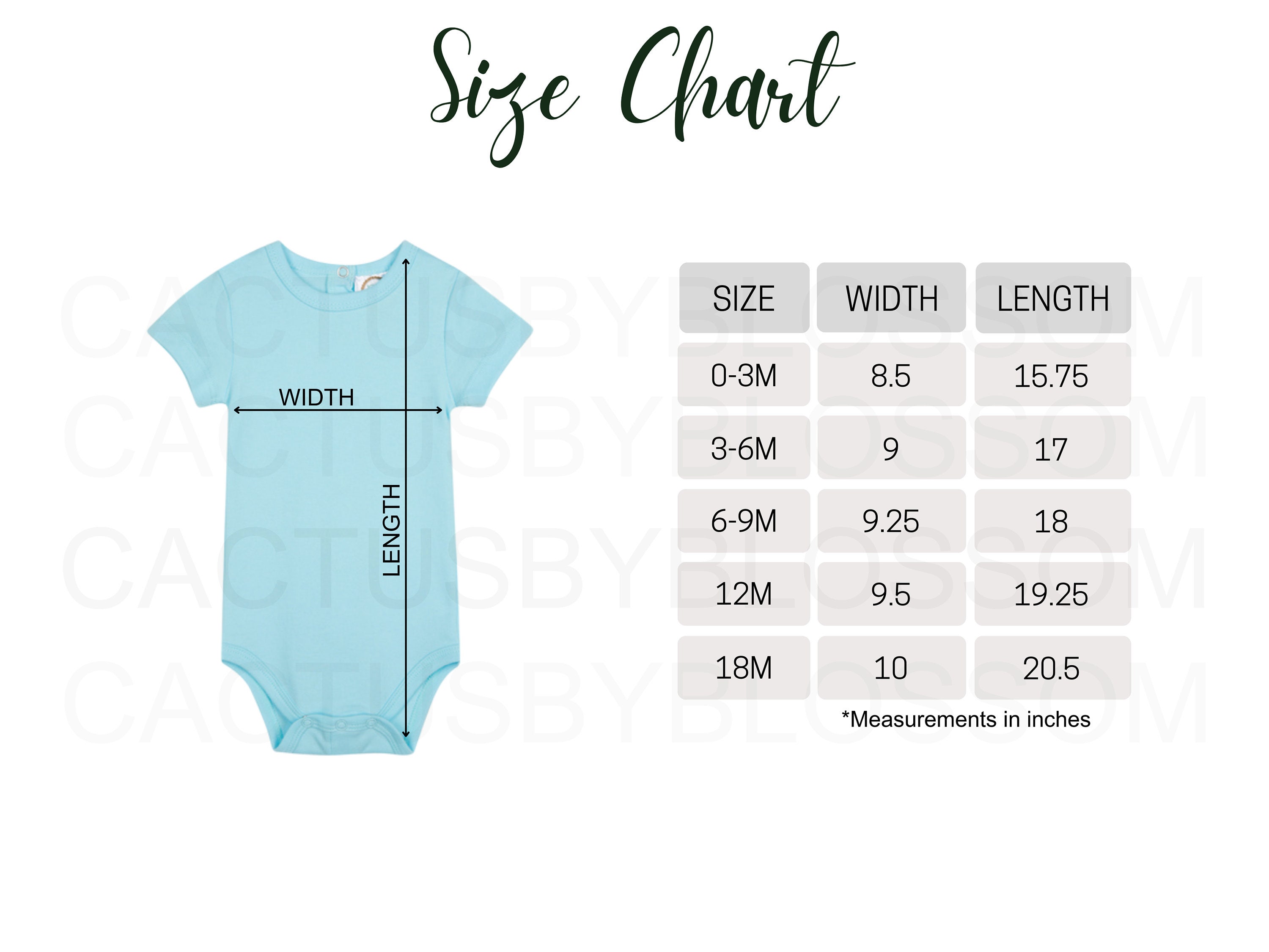 BUNDLE Size Chart Color Chart DIY Chart Blanks Boutique Mockup Etsy ...