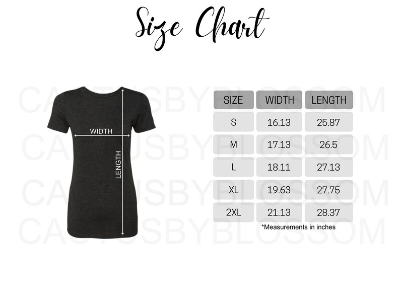 2 Size Chart Color Chart Next Level 6710 Mockup for Women's Triblend ...