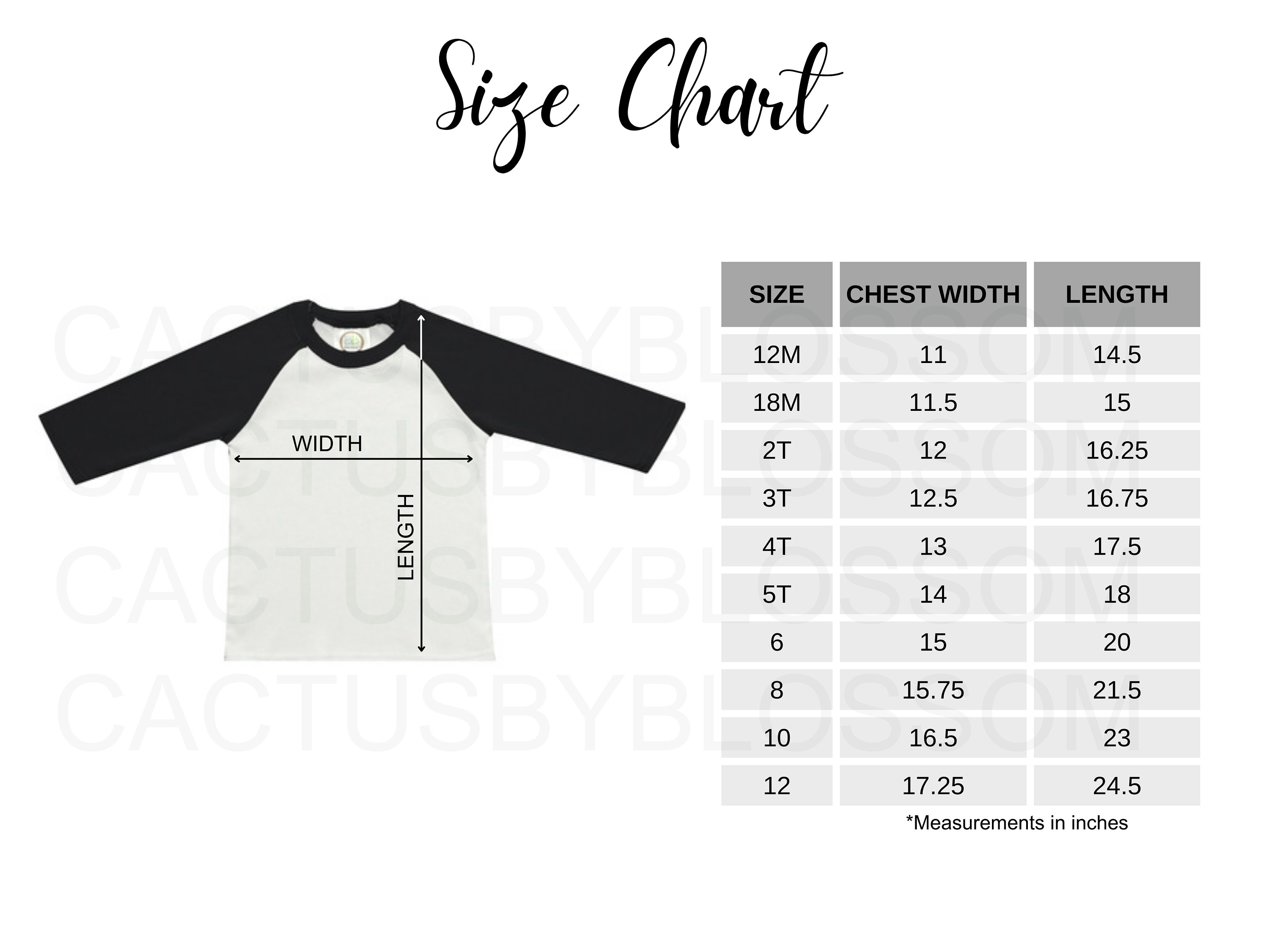 BUNDLE Size Chart Color Chart Blanks Boutique Mockup Etsy Tool - Etsy