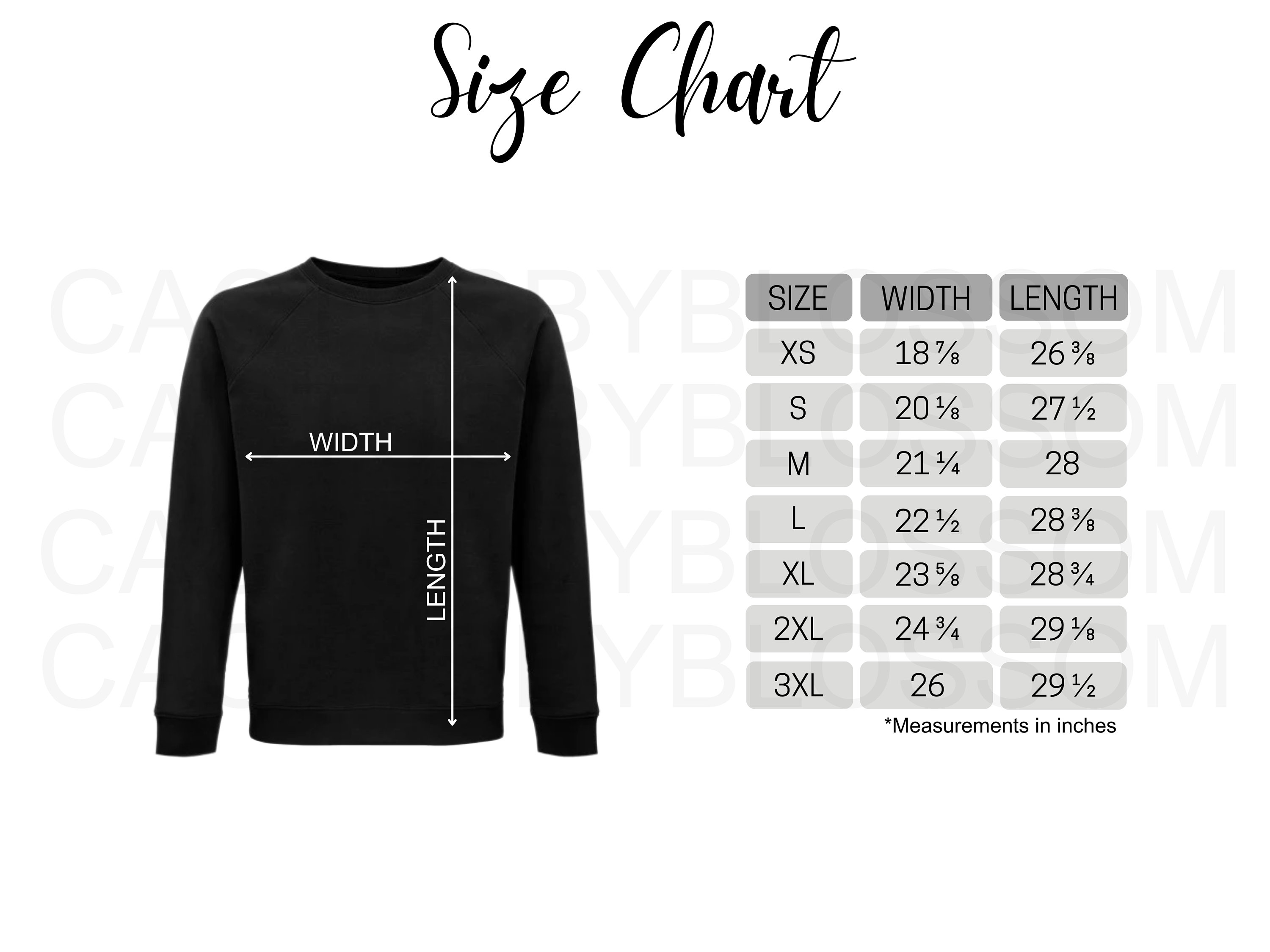4 Size Chart Color Chart SOL'S 03567 Mockup Chart Unisex Organic Raglan ...