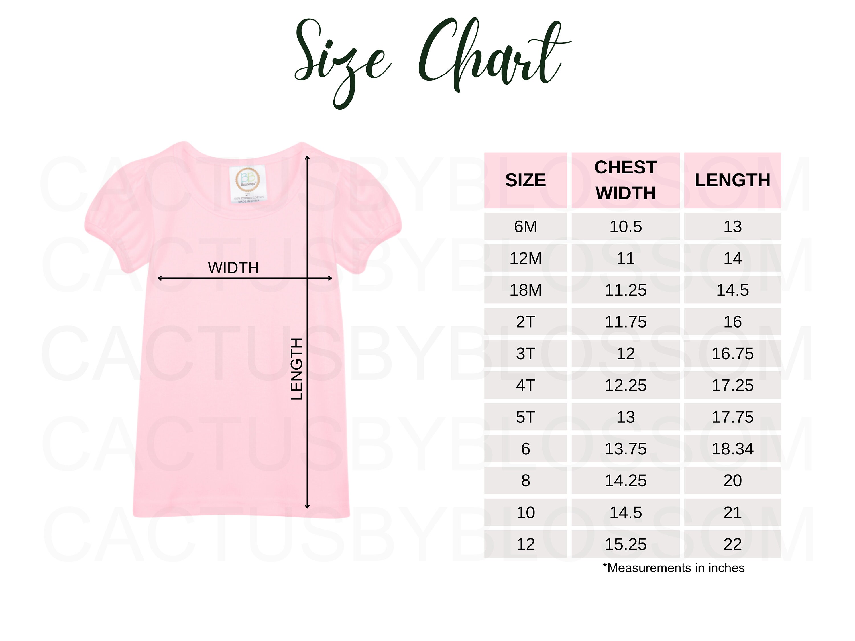 BUNDLE Size Chart Color Chart DIY Chart Blanks Boutique Mockup Etsy ...