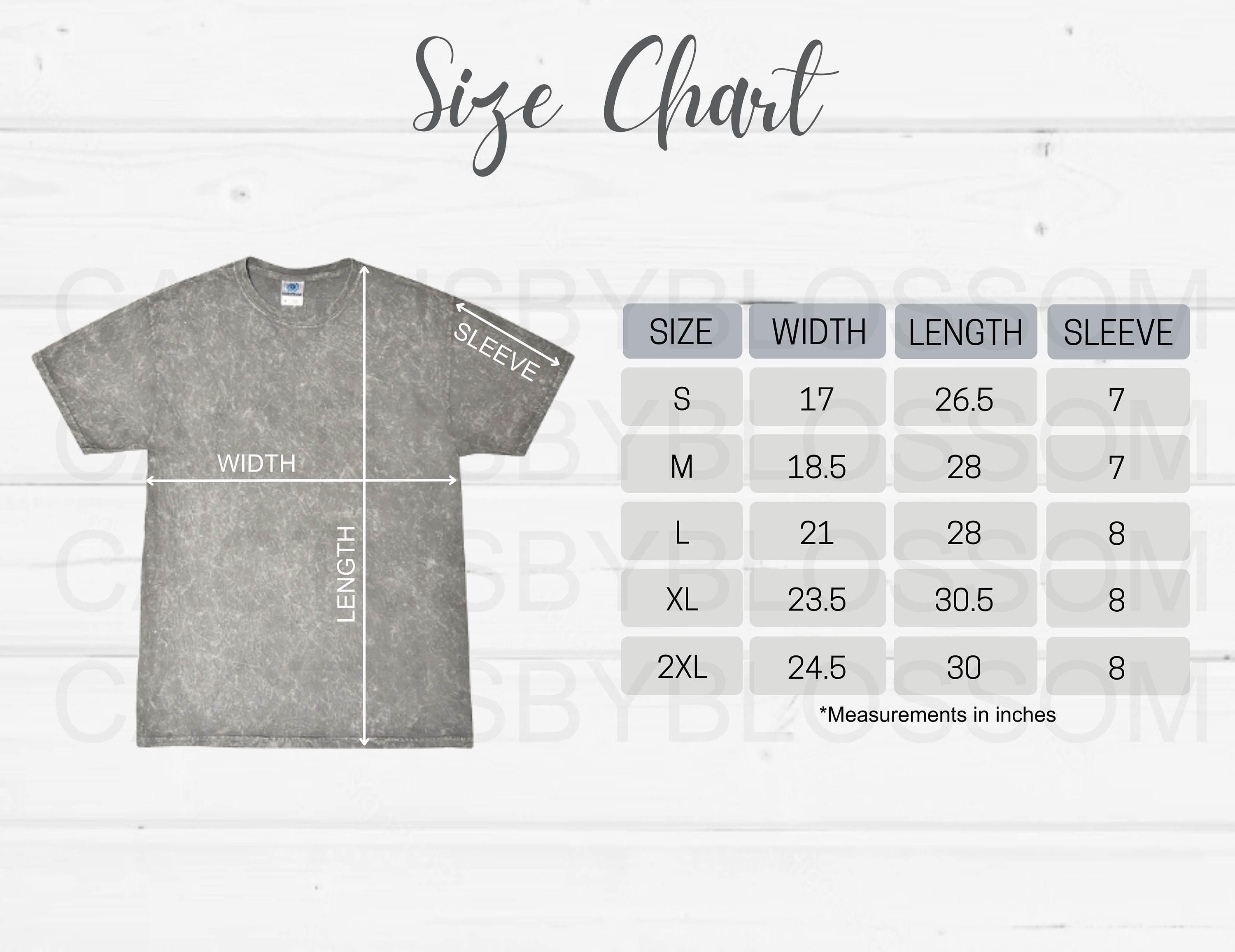 2 Size Chart Colortone 1300 Mockup Chart for Unisex Mineral Wash T ...