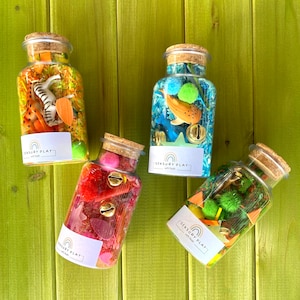 Sensory Shakers Sensory Toys Sensory Kit Sensory Play Sensory Rainbow ...