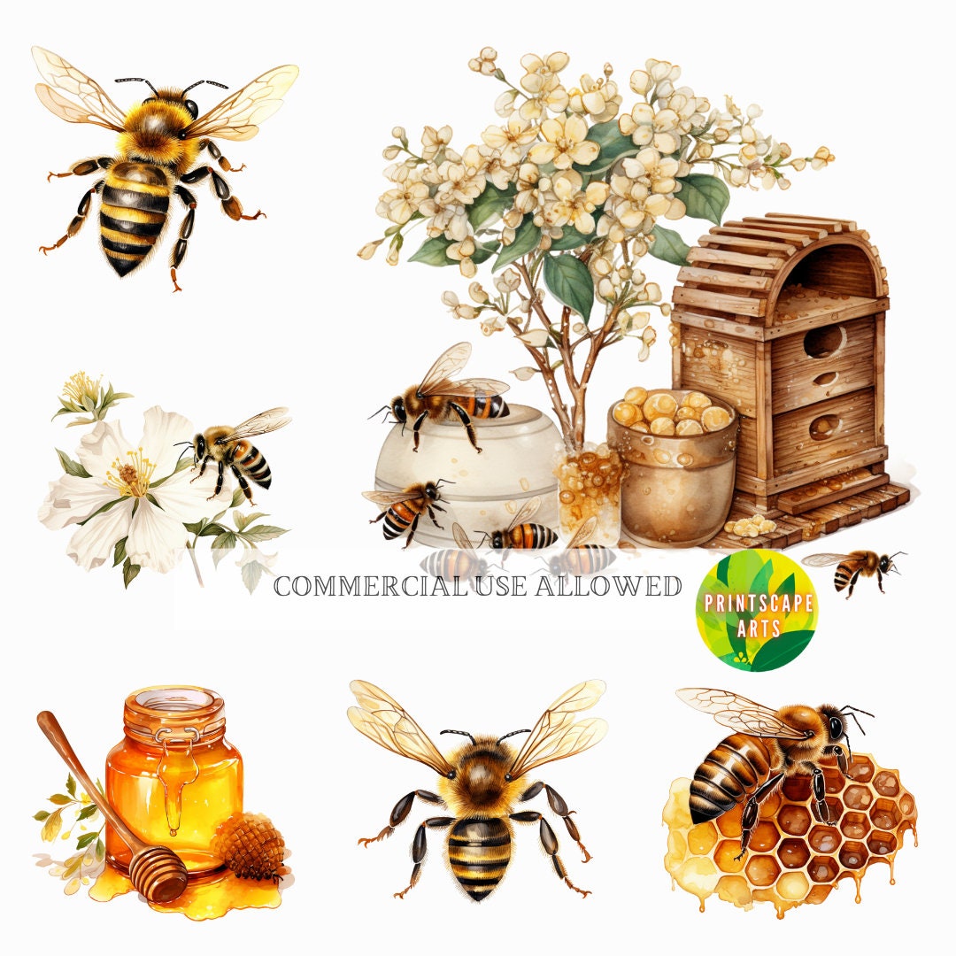 Vintage Bee Clipart Set Artful Graphics and Honeycomb Designs Instant ...