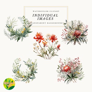 Eucalyptus Watercolor Clipart: Floral Leaf PNG Elements (digital ...