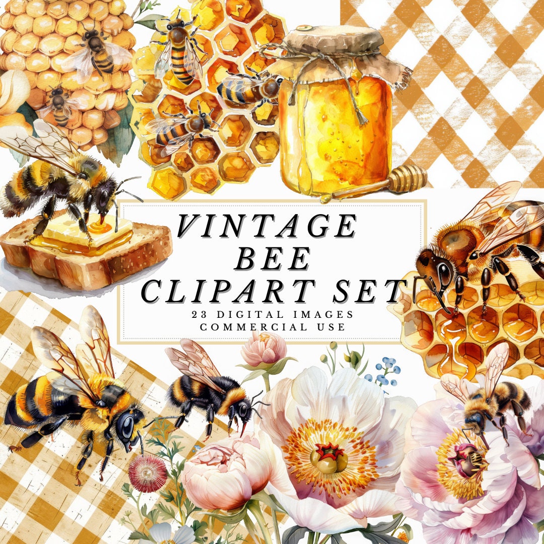 Vintage Bee Clipart Set - Artful Graphics and Honeycomb Designs ...