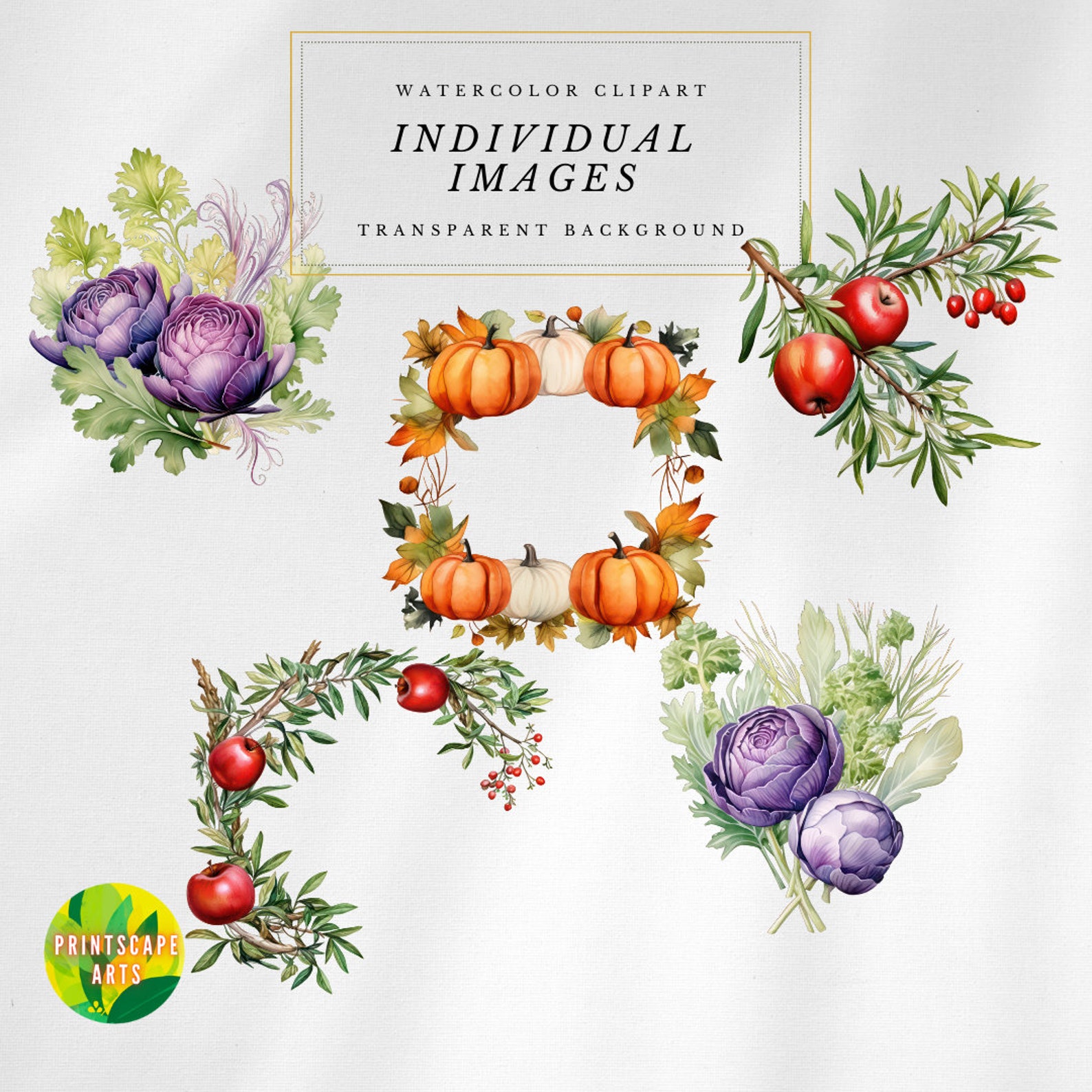 Autumn Harvest Clipart Fall Watercolor Clipart Autumn - Etsy