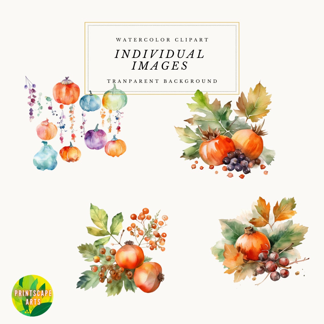 Pumpkin Clipart, Autumn Clipart, Watercolor Pumpkin Fall Clipart ...