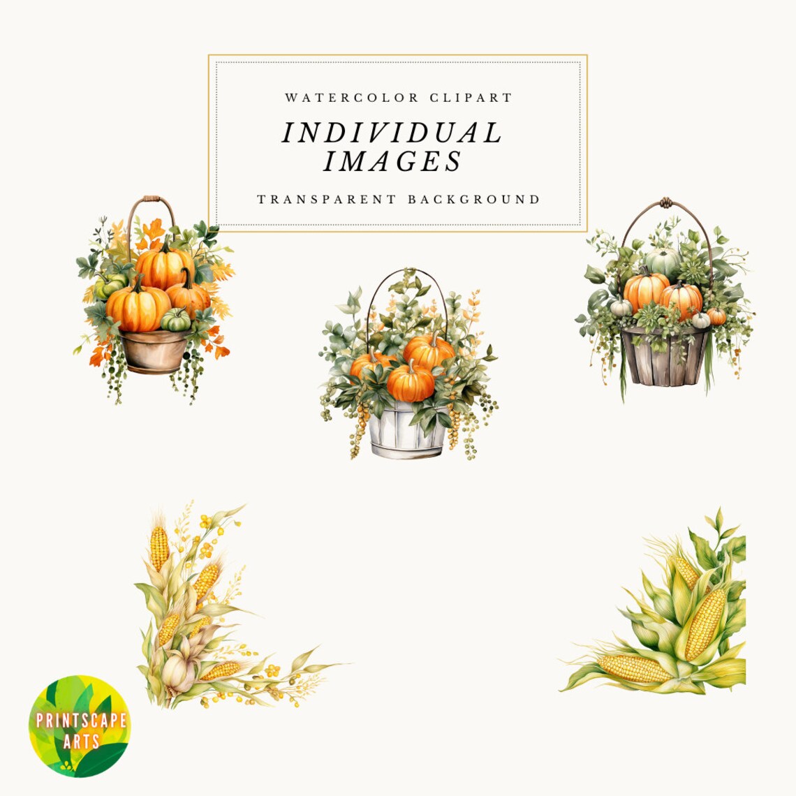 Autumn Harvest Clipart Fall Watercolor Clipart Autumn - Etsy