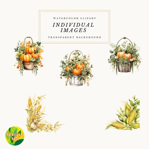 Autumn Harvest Clipart, Fall Watercolor Clipart, Autumn Harvest Clipart ...