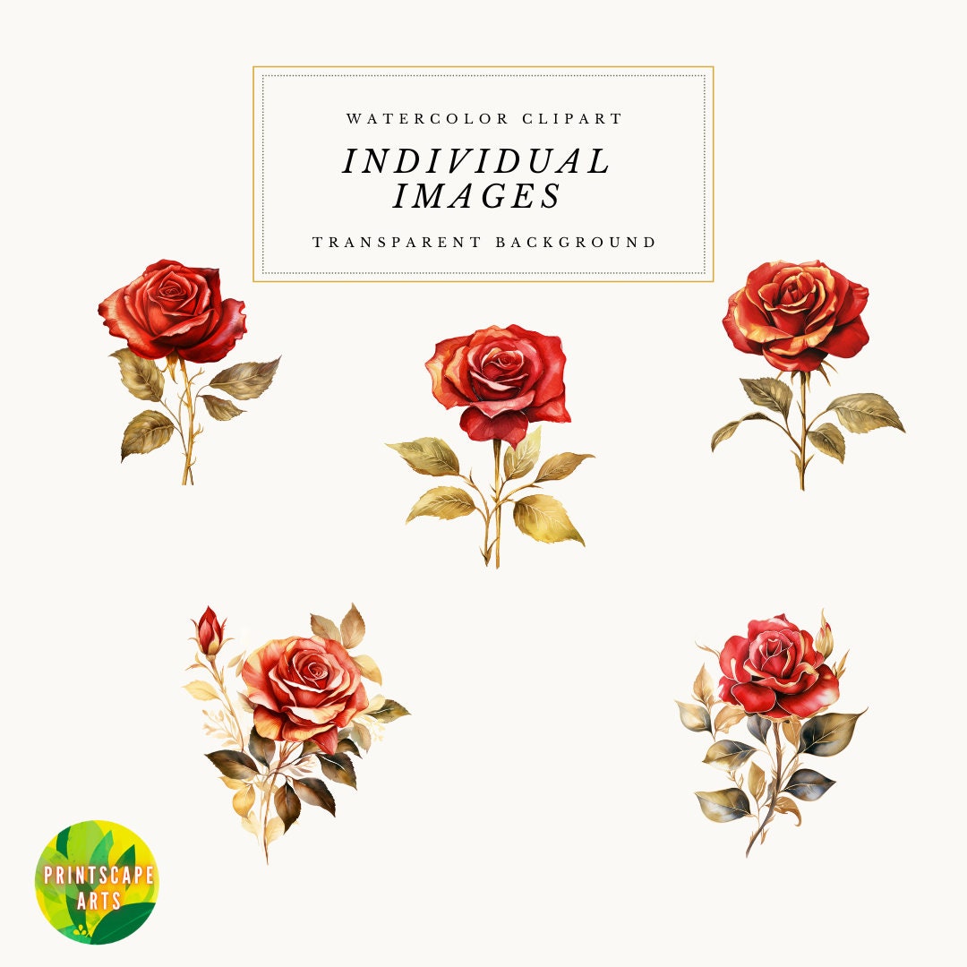 Elegant Red Gold Rose Clipart Digital Floral Graphics for Invitations ...