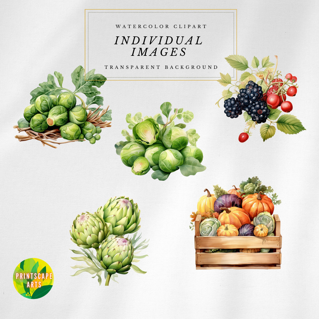 Autumn Harvest Clipart Fall Watercolor Clipart Autumn - Etsy