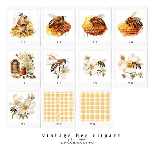 Vintage Bee Clipart Set - Artful Graphics and Honeycomb Designs ...