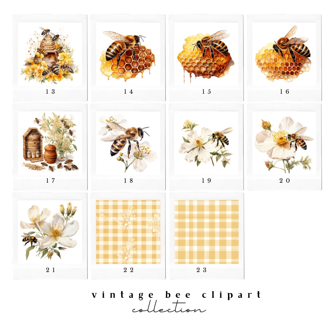 Vintage Bee Clipart Set Artful Graphics and Honeycomb Designs Instant ...