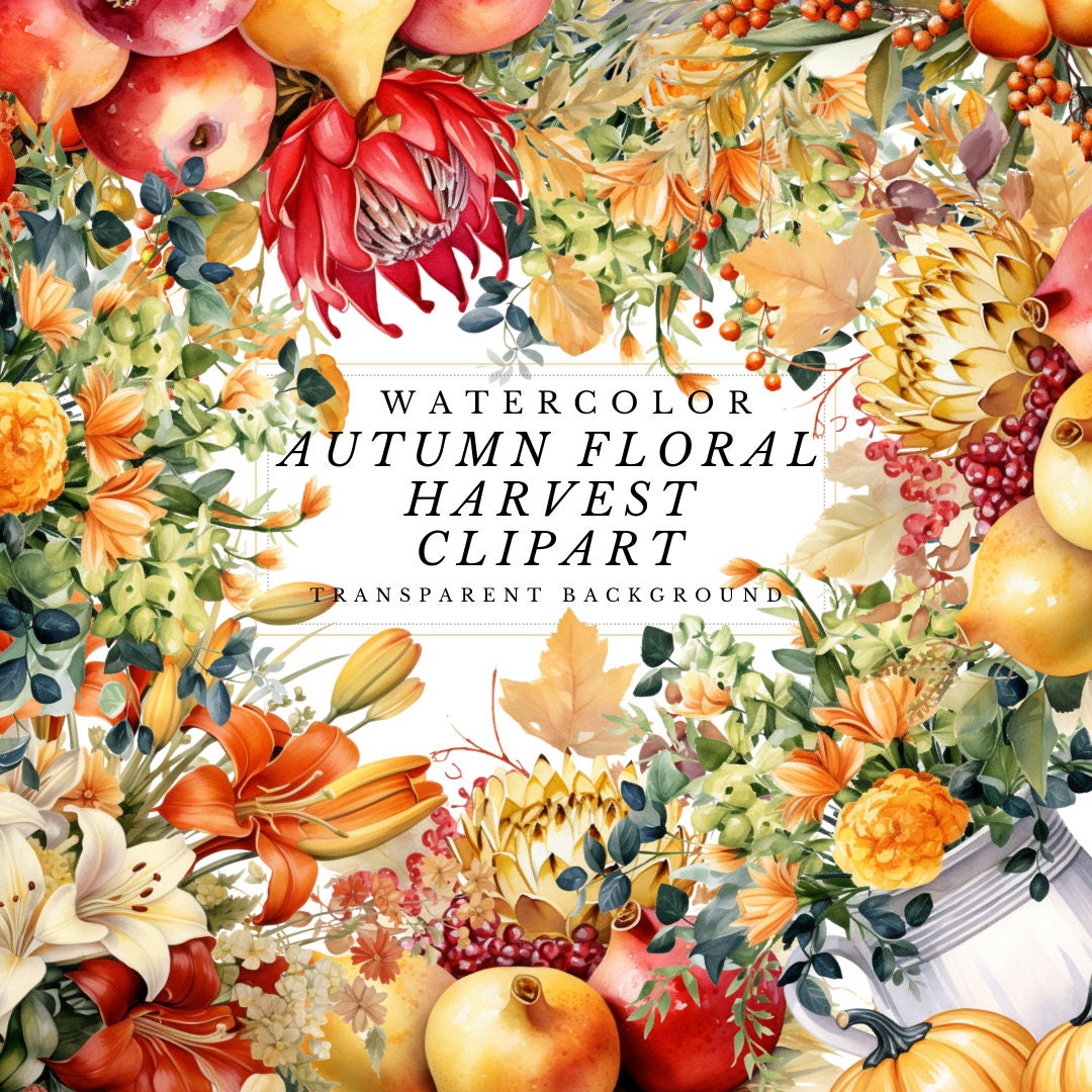 Autumn Watercolor Floral Clipart: Harvest PNG Images (digital Download ...