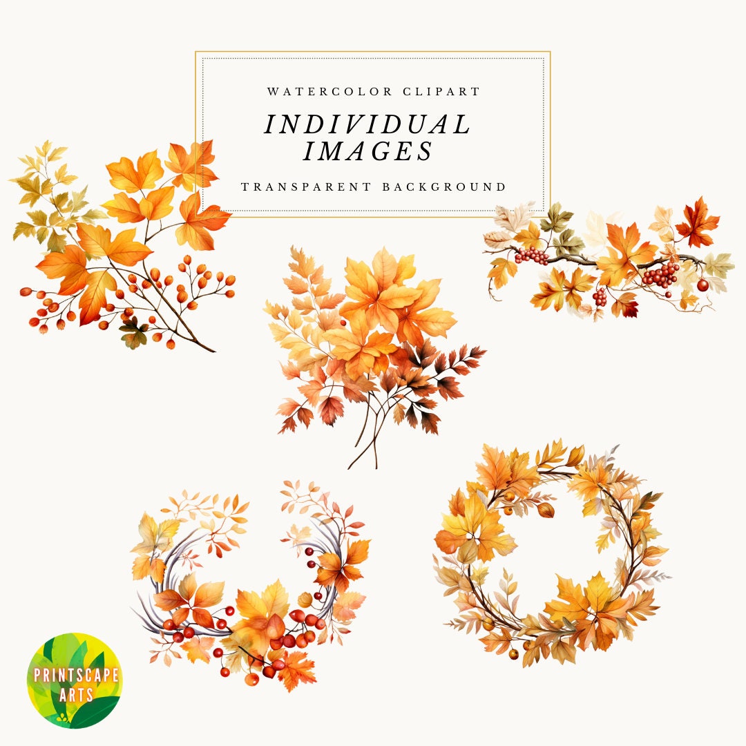 Autumn Floral Clipart Fall Watercolor Clipart Autumn - Etsy