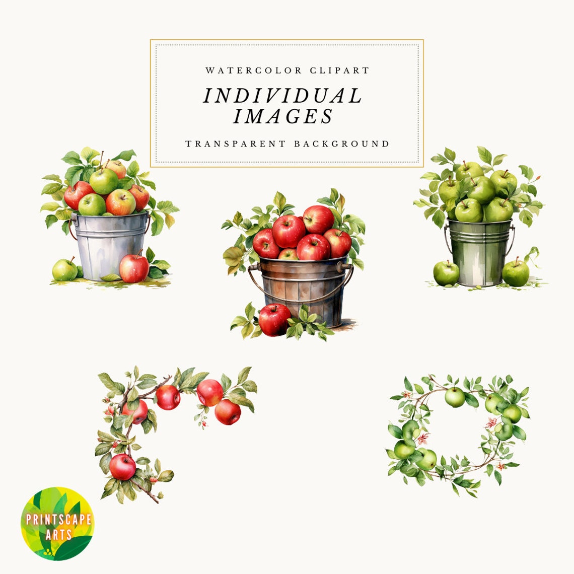 Watercolor Autumn Harvest Clipart: Fall PNG Bundle (digital Download ...