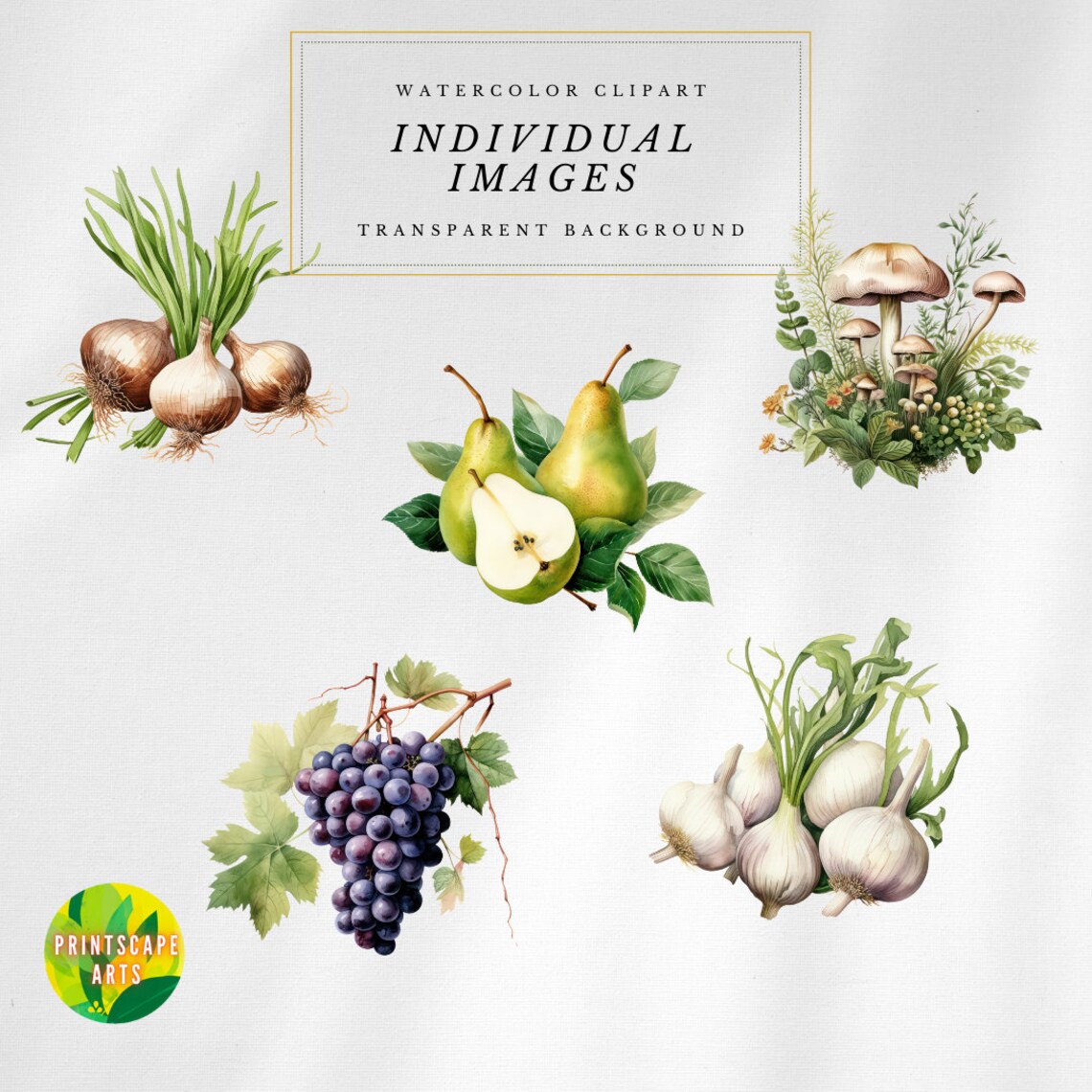 Autumn Harvest Clipart, Fall Watercolor Clipart, Autumn Harvest Clipart ...