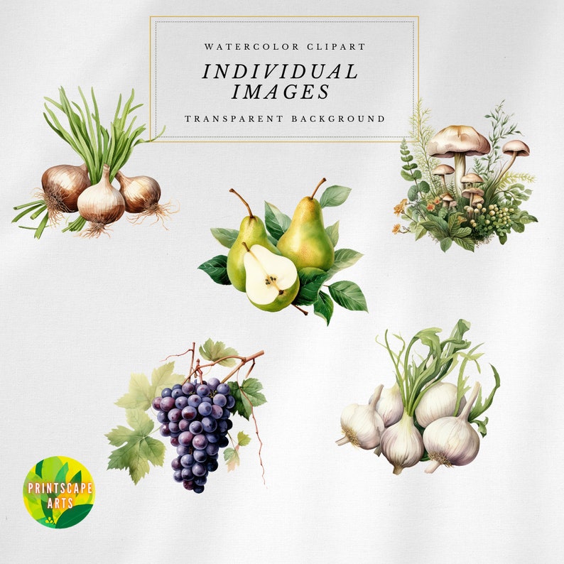 Autumn Harvest Clipart Fall Watercolor Clipart Autumn - Etsy