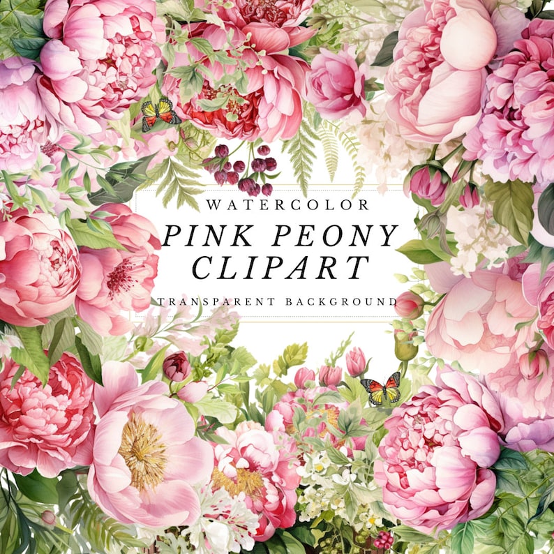 Peonía rosa en acuarela: Imágenes PNG florales (descarga digital) - Etsy México