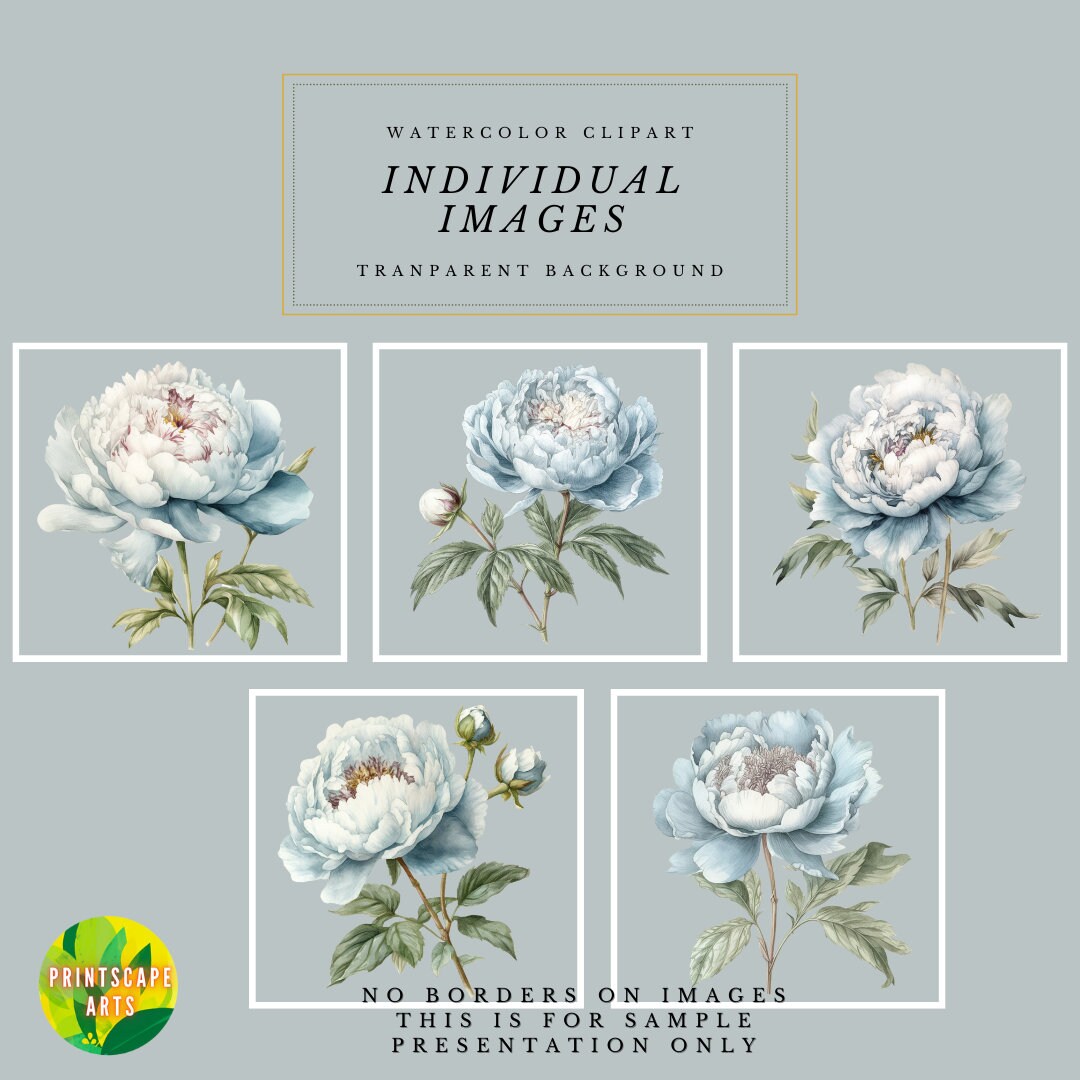Watercolor Blue Peony Clipart Dusty Blue Floral Clipart - Etsy