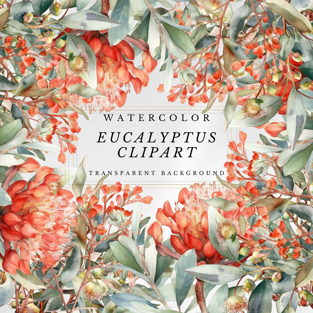 Eucalyptus Floral Clipart - Watercolor Greenery Eucalyptus Clipart ...