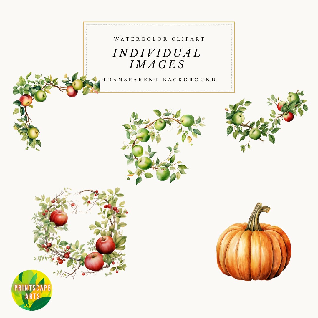 Fall Delight Clipart Set Watercolor Autumn Harvest Clipart Collection ...