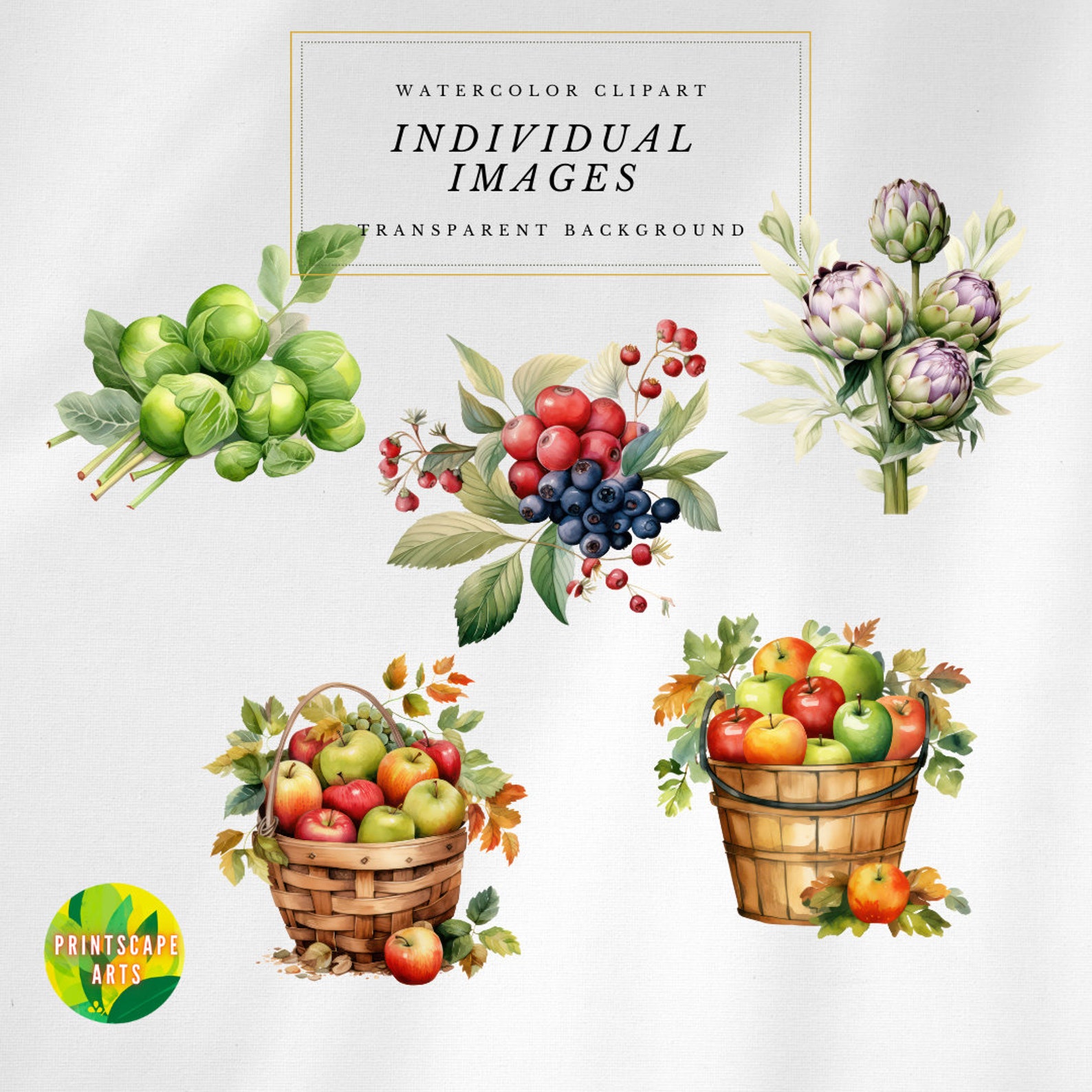 Autumn Harvest Clipart, Fall Watercolor Clipart, Autumn Harvest Clipart ...