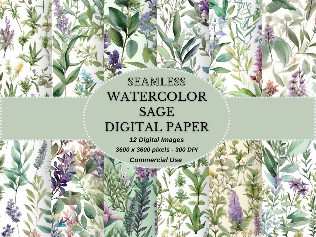 Watercolor Sage Digital Paper: Seamless Floral Patterns (commercial Use ...