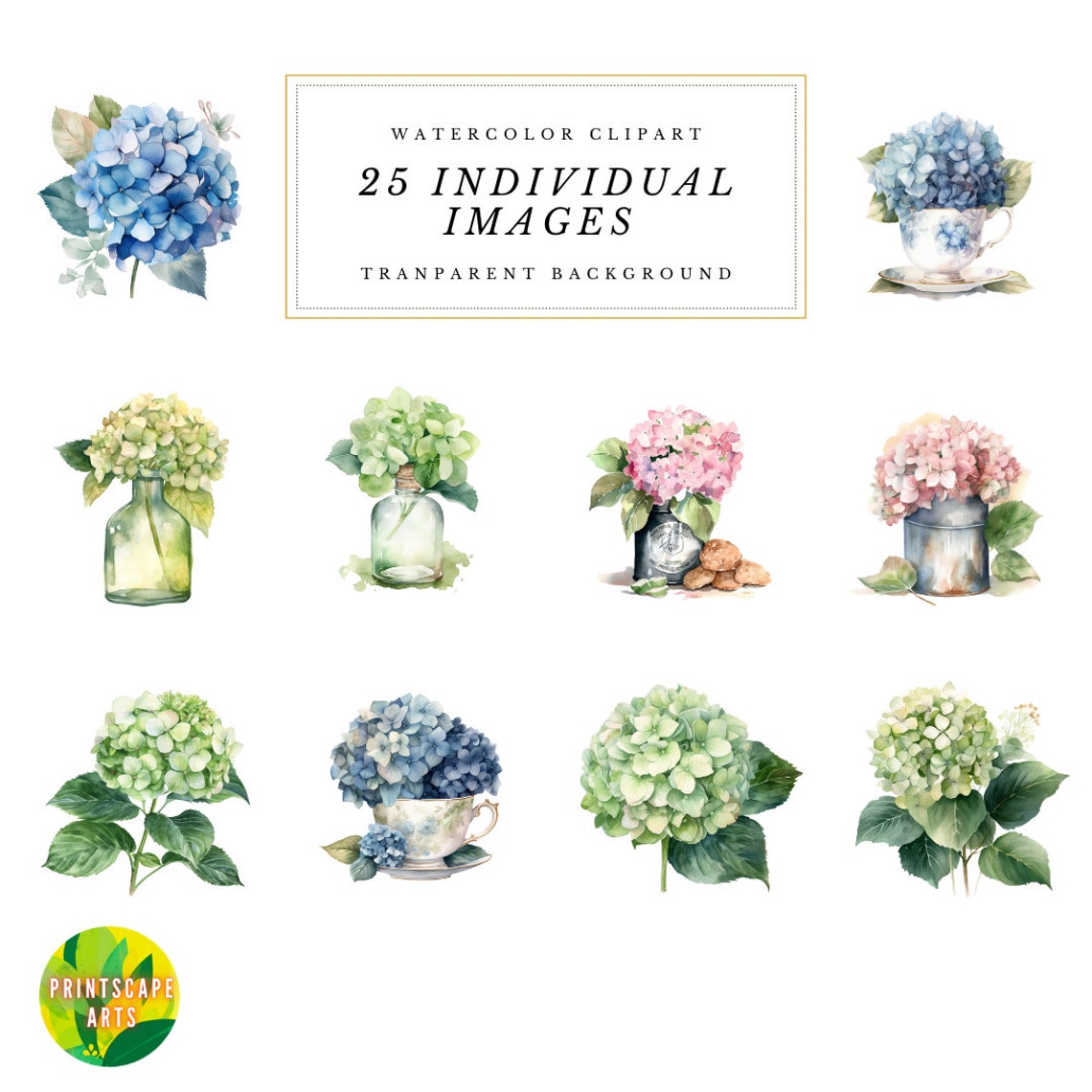 Watercolor Hydrangea Clipart: Floral Bouquets (digital Download) - Etsy
