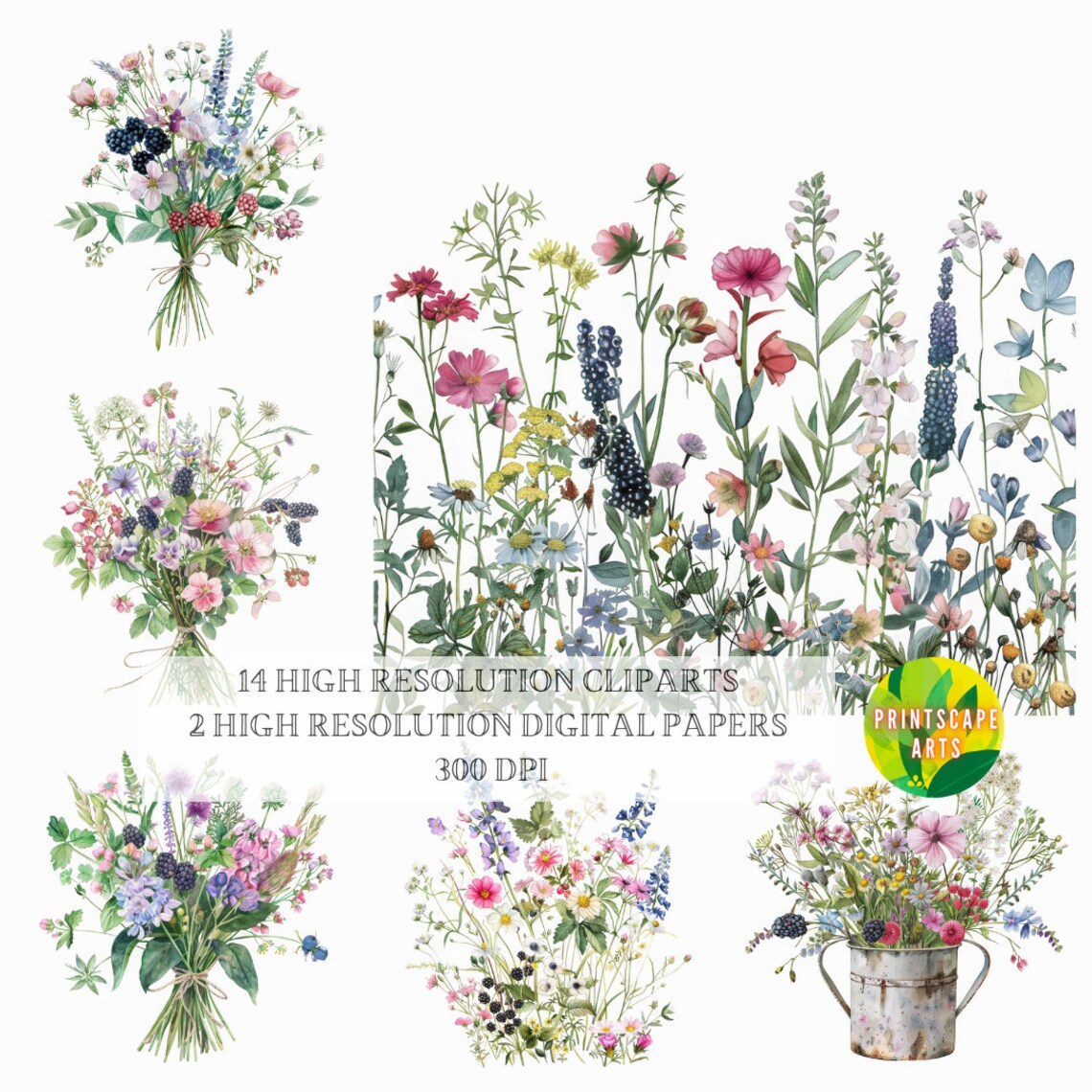 Watercolor Wildflower Clipart: Vibrant Floral PNG (digital Download) - Etsy