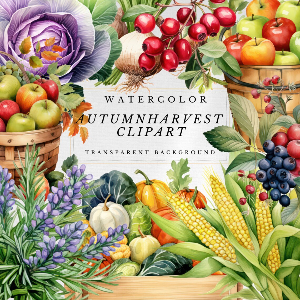 Autumn Harvest Clipart Fall Watercolor Clipart Autumn - Etsy