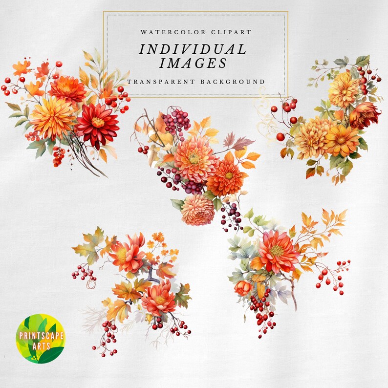Autumn Watercolor Floral Clipart: Fall PNG Graphics (digital Download ...