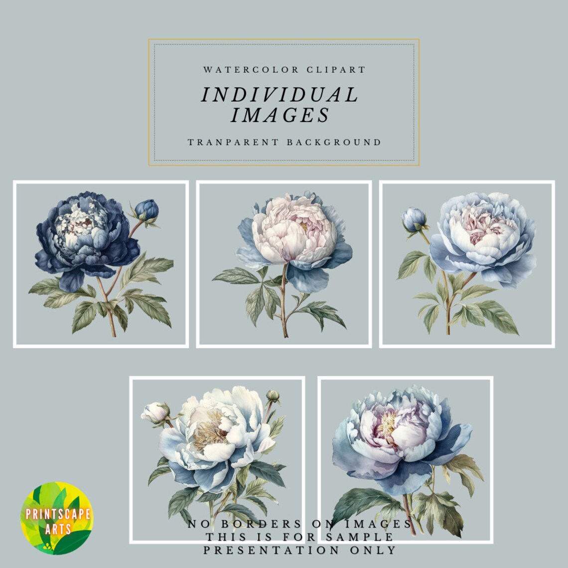 Watercolor Blue Peony Clipart Dusty Blue Floral Clipart - Etsy