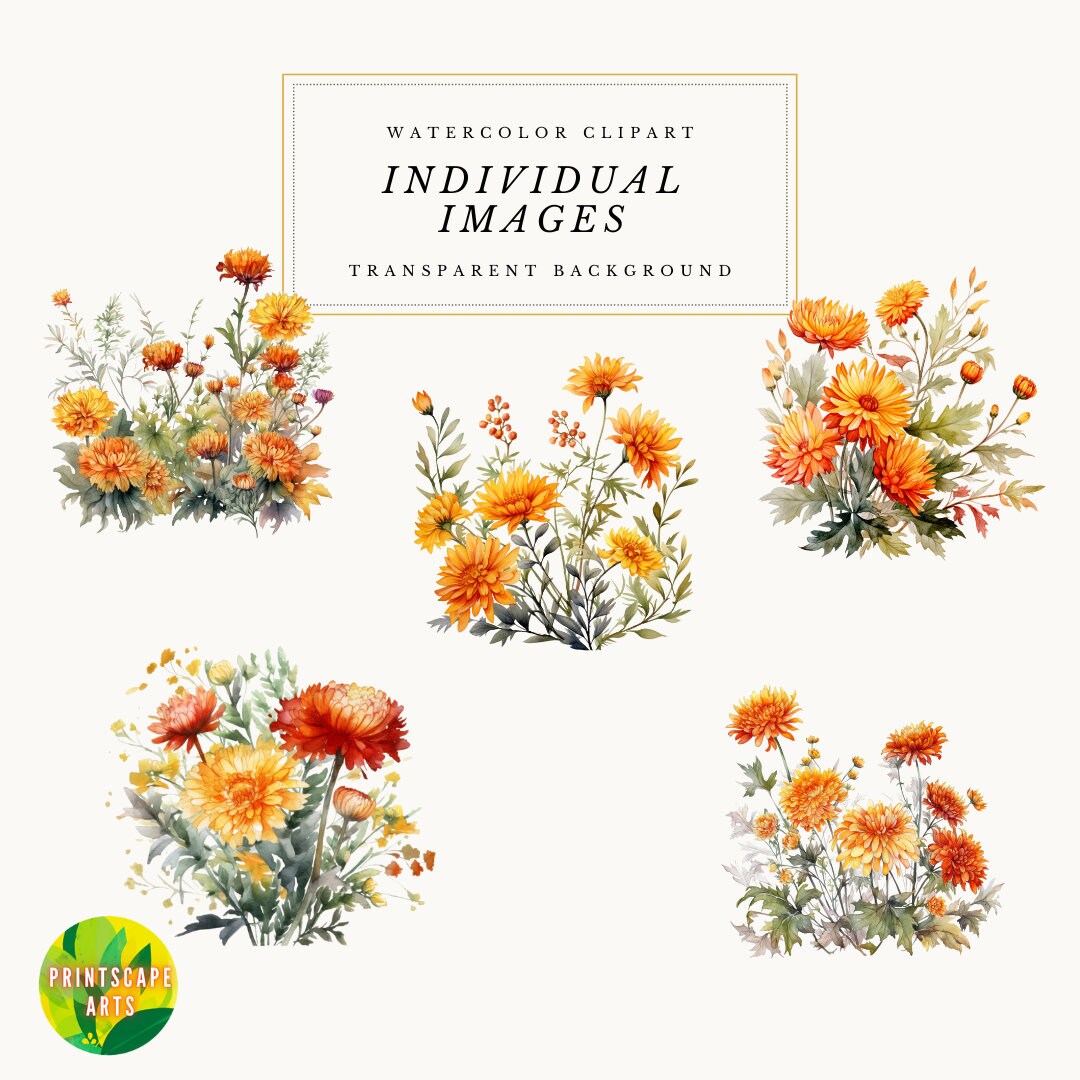 Autumn Floral Clipart Fall Watercolor Clipart Autumn - Etsy