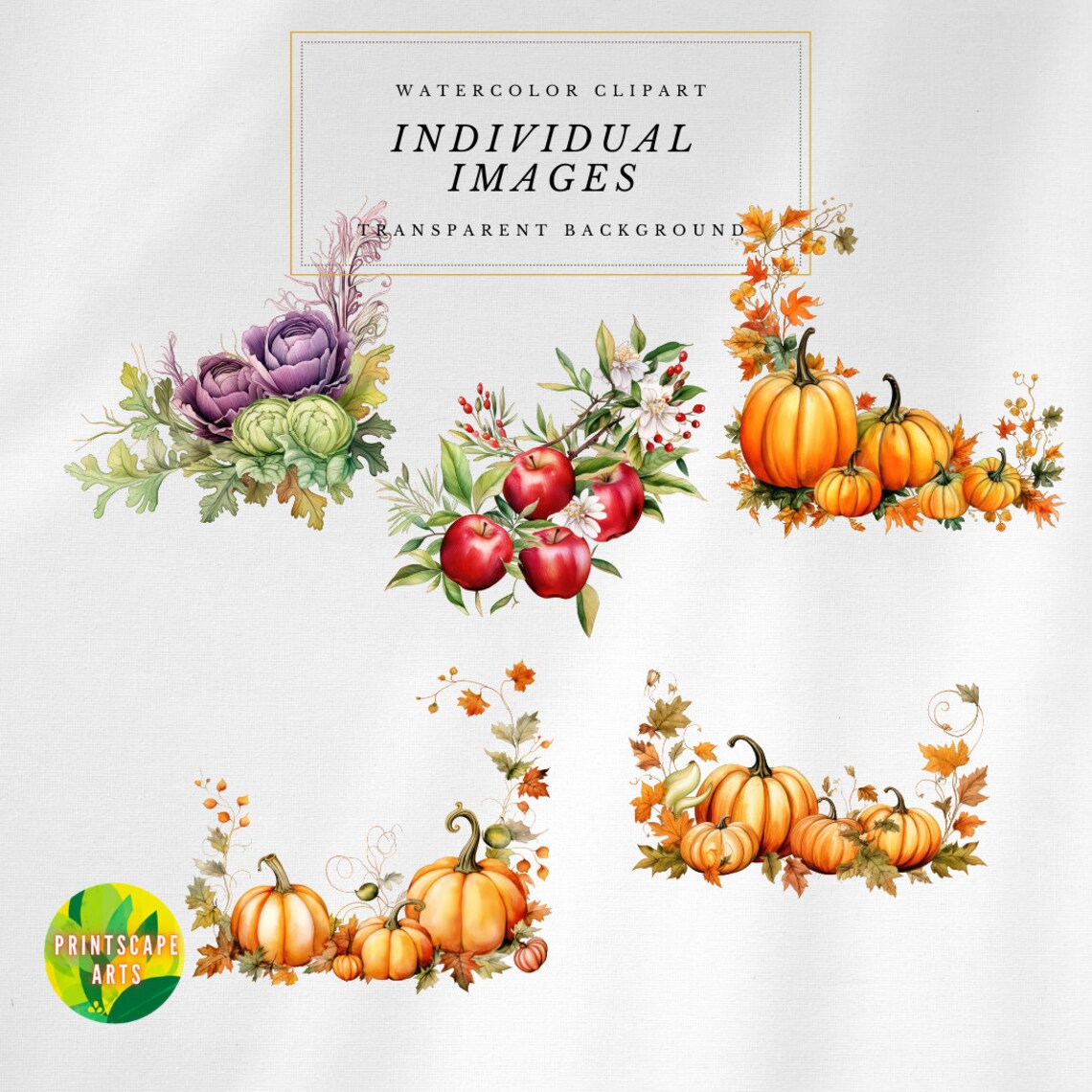 Autumn Harvest Clipart Fall Watercolor Clipart Autumn - Etsy