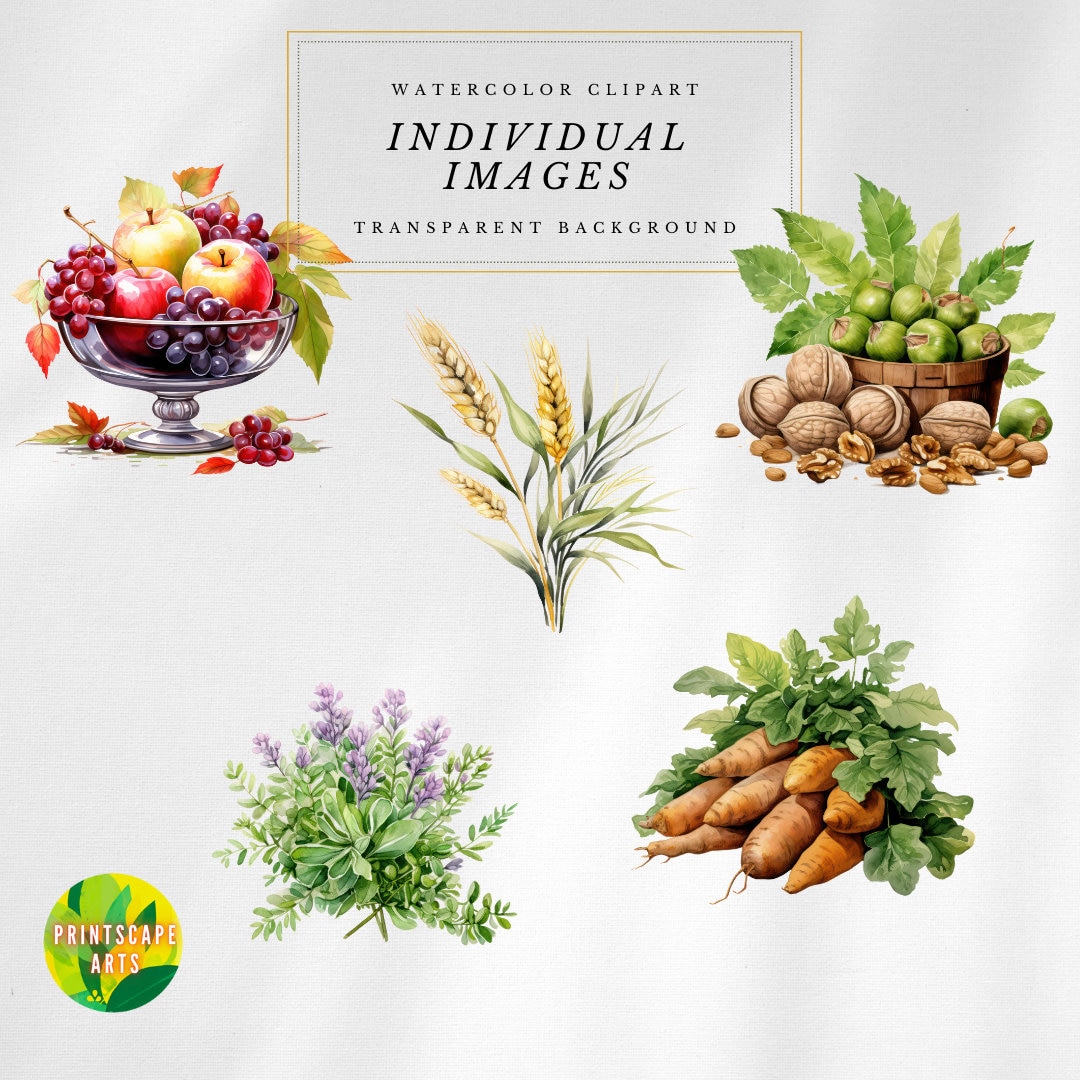 Autumn Harvest Clipart, Fall Watercolor Clipart, Autumn Harvest Clipart ...