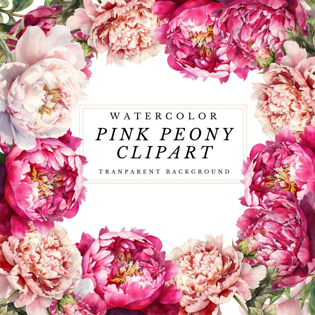 Peonía rosa en acuarela: Imágenes PNG florales (descarga digital) - Etsy México