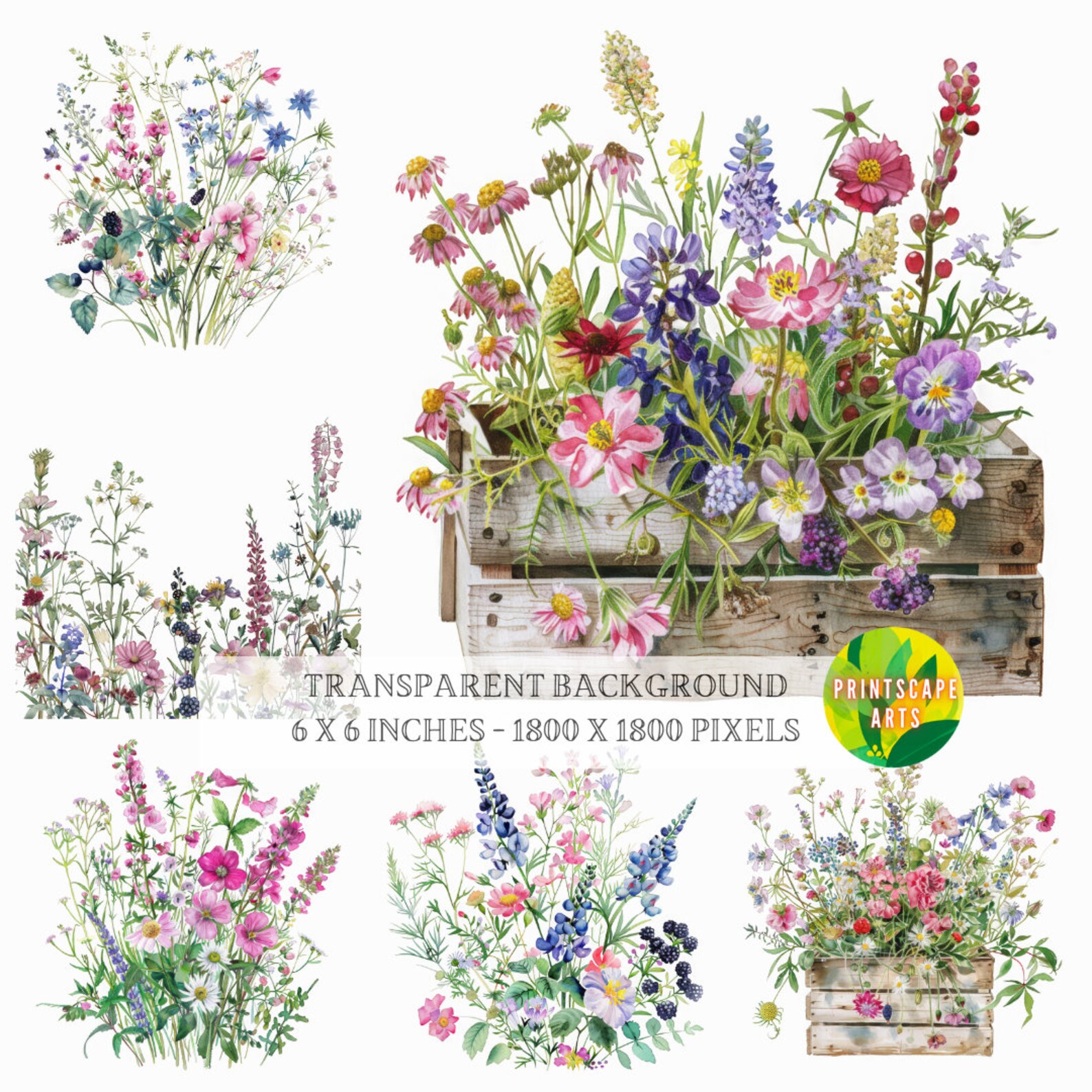 Watercolor Wildflower Clipart: Vibrant Floral PNG (digital Download) - Etsy