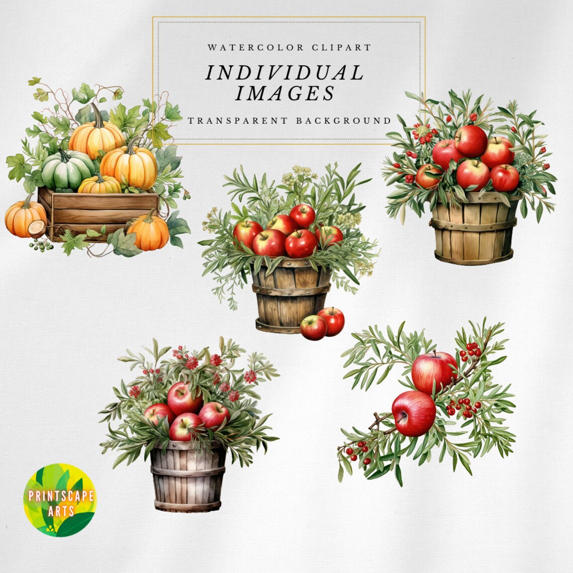 Autumn Harvest Clipart Fall Watercolor Clipart Autumn - Etsy