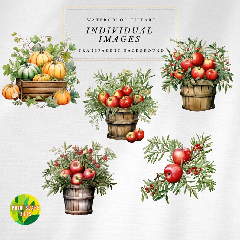 Autumn Harvest Clipart Fall Watercolor Clipart Autumn - Etsy
