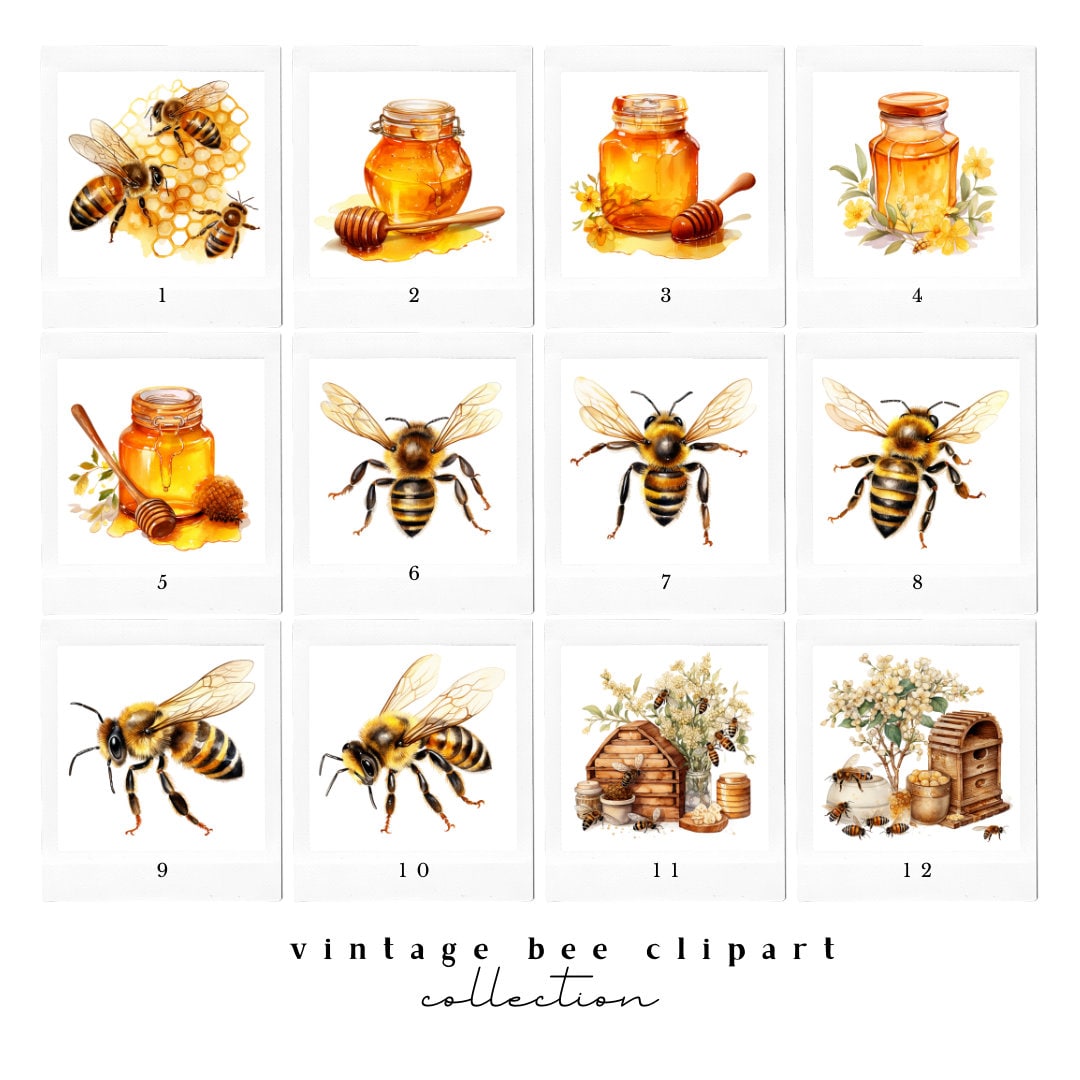 Vintage Bee Clipart Set Artful Graphics and Honeycomb Designs Instant ...