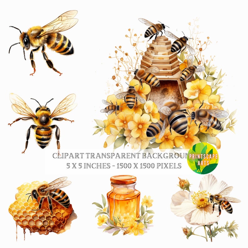 Vintage Bee Clipart Set - Artful Graphics and Honeycomb Designs ...